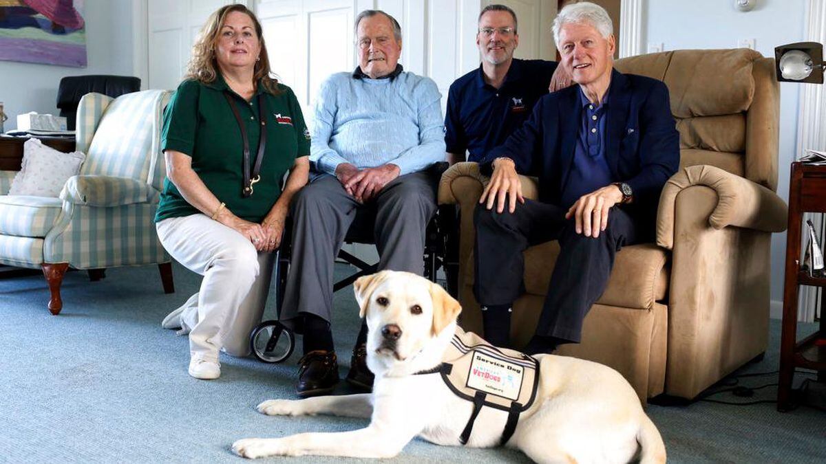 Presidential pup: Pres. George H.W. Bush gets service dog