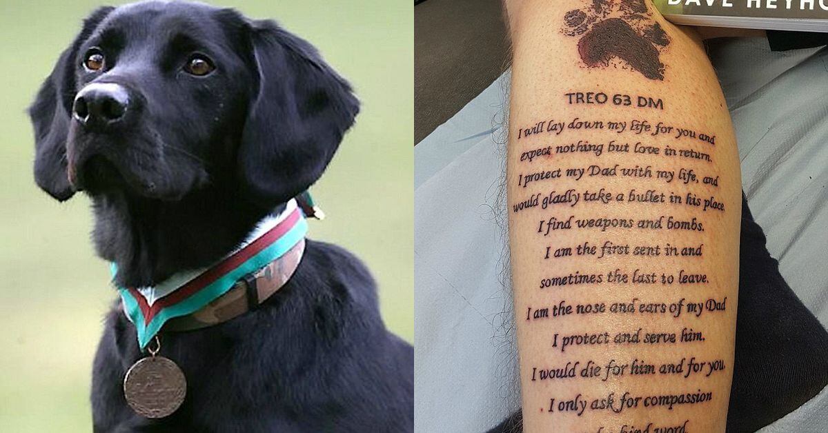 Mourning handler uses military dog's ashes for tattoo