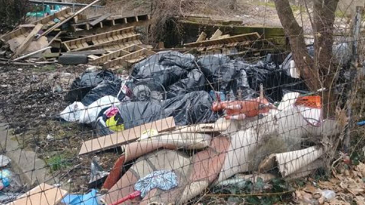 Rats invading Washington Co. community due to piles of rotten trash in ...
