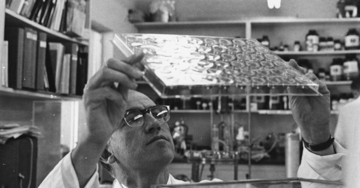 65 years ago, Jonas Salk, team at Pitt get polio vaccine approved